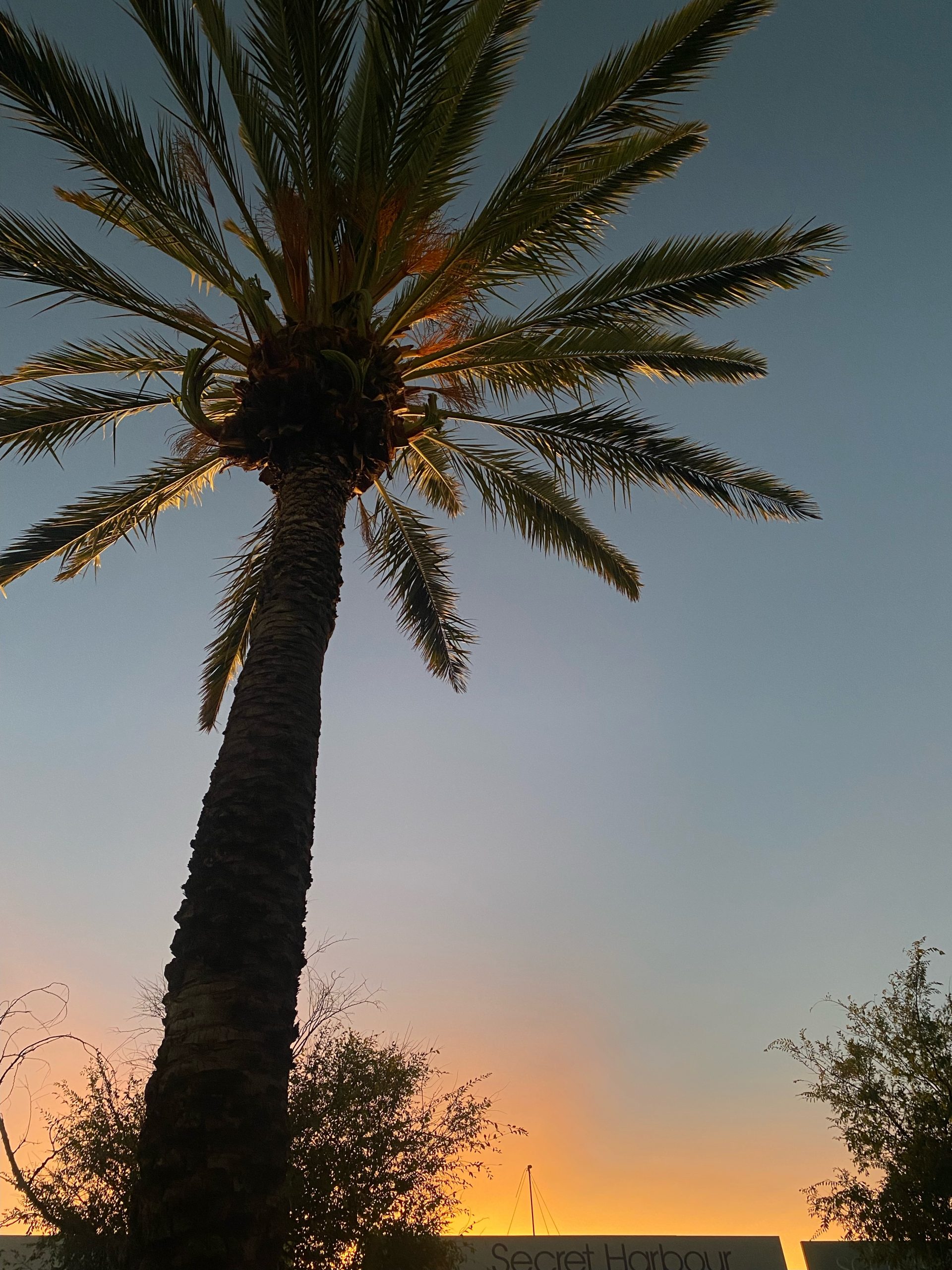 Menus – The Harbour